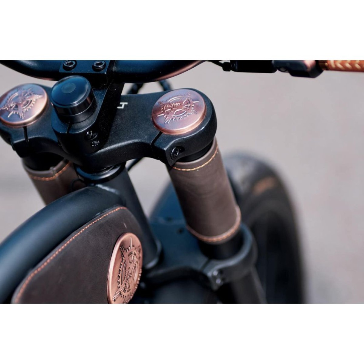 Rayvolt Torino Electic Bicycle in City Cruiser Style Fast and Smooth ...